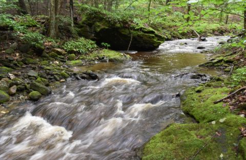 Sunderland MA | Mount Toby Reservation | The Blue Heron Restaurant ...