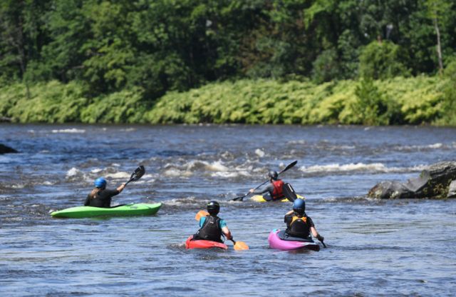 Leyden MA | Leyden State Forest | Green River