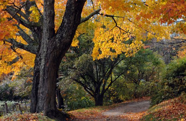 Whately MA | Whately Historical Museum