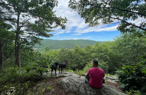 Sunderland MA | Mount Toby Reservation | The Blue Heron Restaurant ...
