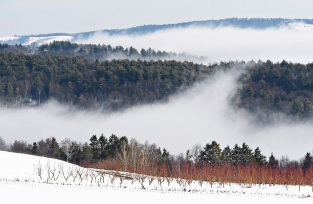 Whately MA | Whately Historical Museum